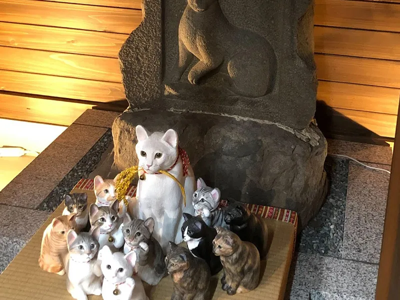 毎月22日「にゃんにゃんの日」に猫の健康祈願と供養祭。「忠義な猫」の聖地から広がる輪【秋田県横手市】 | OKWAVEメディア,OKWAVE media