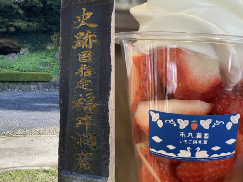 福井洞窟とイチゴを楽しむ！吉井町の魅力を体感できるちょい旅【長崎県佐世保市】 | OKWAVEメディア,OKWAVE media